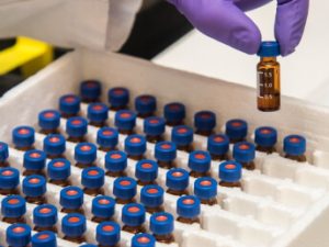 Home - Dr.Path Expert